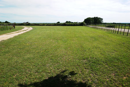 Texas Horse Ranches For Sale - Coalson Real Estate