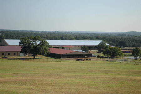 Texas Horse Ranches For Sale - Coalson Real Estate