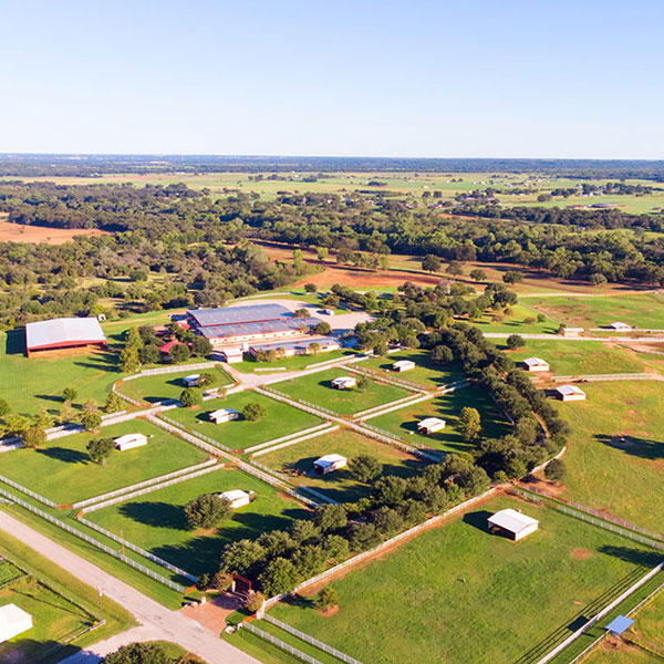 Home - Coalson Real Estate