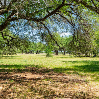 Home - Coalson Real Estate