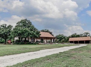 Horse Ranches - Coalson Real Estate